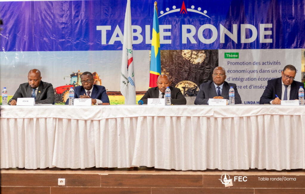 Site institutionnel de la Fédération des Entreprises du Congo - FEC RDC