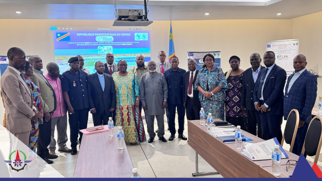 Site institutionnel de la Fédération des Entreprises du Congo - FEC RDC